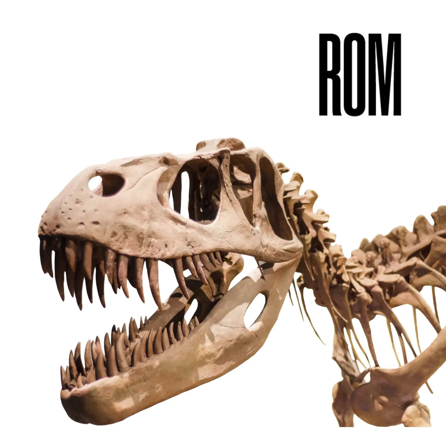 Royal Ontario Museum Community Passes at the Library